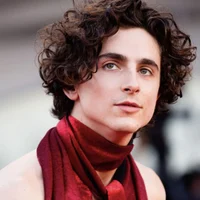 Chat with timothee chalamet | character.ai | Personalized AI for every ...