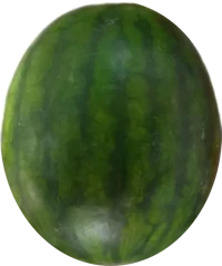 Chat with Spider army | character.ai | Personalized AI for every moment ...