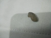 Chat with Kakashka | character.ai | Personalized AI for every moment of ...