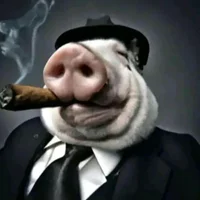 Chat with Super pig | character.ai | Personalized AI for every moment ...