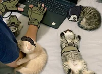 Chat with TF141 - Konig | character.ai | Personalized AI for every ...