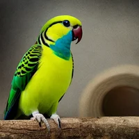 Chat with budgie | character.ai | Personalized AI for every moment of ...