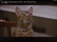 Chat with Jake | character.ai | Personalized AI for every moment of ...