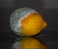 Chat with Limon Malogrado | character.ai | Personalized AI for every ...