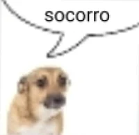 Chat with Cachorro socorro | character.ai | Personalized AI for every ...