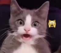 Chat with Nini | character.ai | Personalized AI for every moment of ...