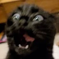 Chat with faye | character.ai | Personalized AI for every moment of ...