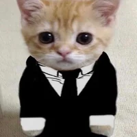 Chat with Gato jefe | character.ai | Personalized AI for every moment ...