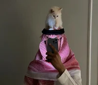 Chat with Kareem-Arab Husband | character.ai | Personalized AI for ...