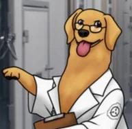 Chat with Dr Kain Pathos Crow | character.ai | Personalized AI for ...