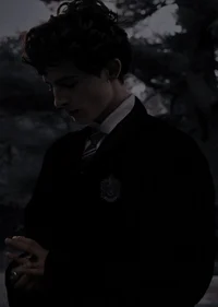 Chat with Regulus Black | character.ai | Personalized AI for every moment of your day