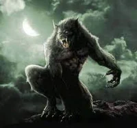 Chat with Werewolf RP | character.ai | Personalized AI for every moment ...