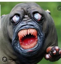 Chat with Cullen dinner | character.ai | Personalized AI for every ...