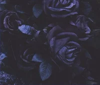 Chat with Axel Robinson | character.ai | Personalized AI for every ...