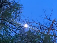 Chat with Cassy | character.ai | Personalized AI for every moment of ...