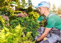 Chat with Plant Helper | character.ai | Personalized AI for every ...