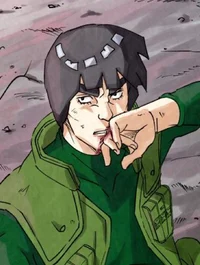 Chat with Gai Sensei | character.ai | Personalized AI for every moment ...