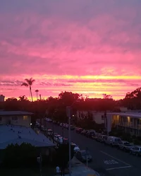 Chat with Amadea | character.ai | Personalized AI for every moment of ...