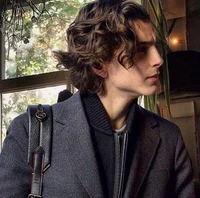 Chat with timothee chalamet | character.ai | Personalized AI for every ...