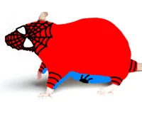 Chat with Spider-Rat | character.ai | Personalized AI for every moment ...
