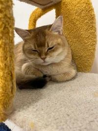 Chat with Judith | character.ai | Personalized AI for every moment of ...