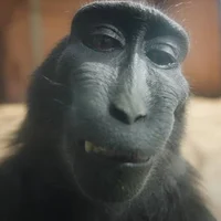 Chat with Rizzler monkey | character.ai | Personalized AI for every ...