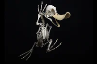 Chat with coquette | character.ai | Personalized AI for every moment of ...