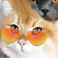 Chat with Hizashi cat Yamada | character.ai | Personalized AI for every ...