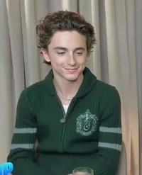 Chat with Timothee | character.ai | Personalized AI for every moment of ...