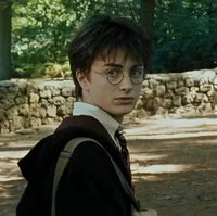 Chat with Harry Potter | character.ai | Personalized AI for every ...