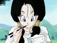 Chat with Videl | character.ai | Personalized AI for every moment of ...