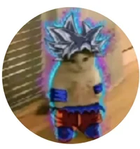 Chat with GATO GOKU | character.ai | Personalized AI for every moment ...