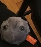 Chat with Polio | character.ai | Personalized AI for every moment of ...