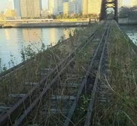 Chat with The train hopping | character.ai | Personalized AI for every ...