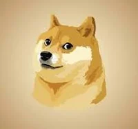 Chat with Doge | character.ai | Personalized AI for every moment of ...