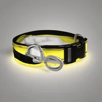 Chat with Holy Collar | character.ai | Personalized AI for every moment ...