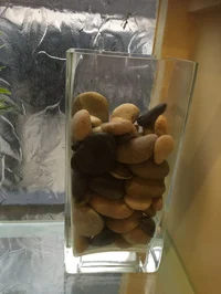 Chat with Tyler fenton | character.ai | Personalized AI for every ...