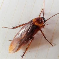 character.ai | Personalized AI for every moment of your day