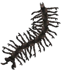 Chat with Goofy ahh centipede | character.ai | Personalized AI for ...