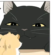 Chat with Mackenzie the cat | character.ai | Personalized AI for every ...