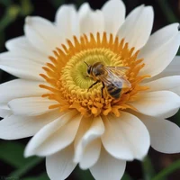 Chat with WCUE HERB HELPER | character.ai | Personalized AI for every ...