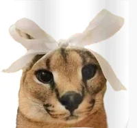 Chat with mrs floppa | character.ai | Personalized AI for every moment ...