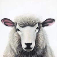 Chat with Sheep | character.ai | Personalized AI for every moment of ...