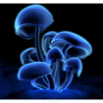 Chat with Ryan Bliss | character.ai | Personalized AI for every moment ...