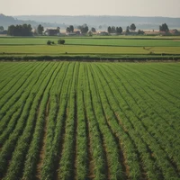 Chat with FLIAW | character.ai | Personalized AI for every moment of ...