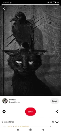 Chat with Nando | character.ai | Personalized AI for every moment of ...