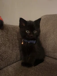 Chat with Mom bot | character.ai | Personalized AI for every moment of ...