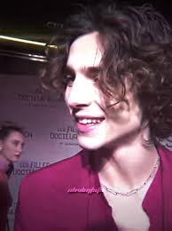 Chat with Timothee Chalamet | character.ai | Personalized AI for every ...