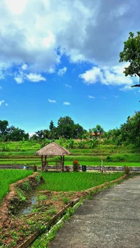 Chat with Deso | character.ai | Personalized AI for every moment of ...