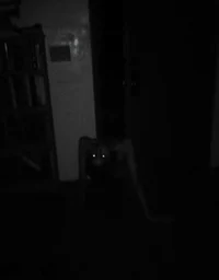 Chat with Starved Entity | character.ai | Personalized AI for every ...